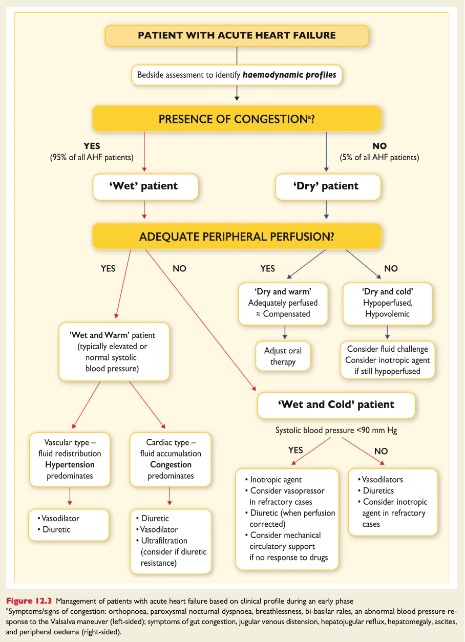 Akut hjärtsvikt - initial handläggning och vidare utredning - Kardiologi.se