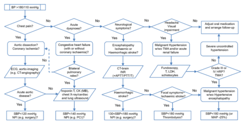 Hypertensivt nödfall (malign hypertoni, hypertensiv kris) - Kardiologi.se
