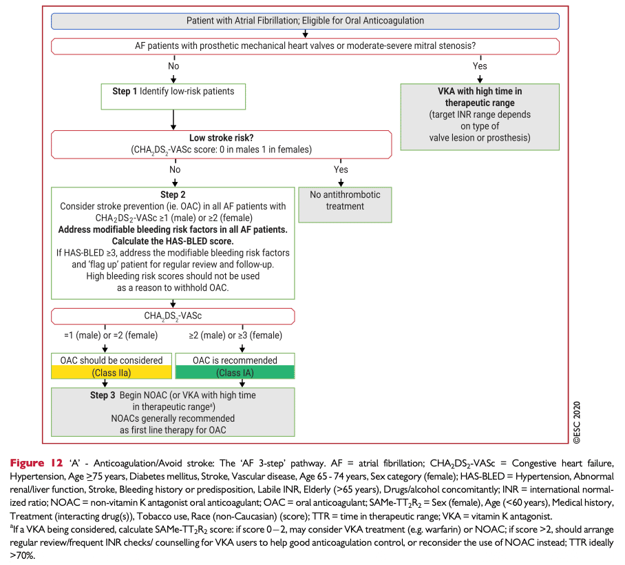 CHA₂DS₂-VASc-Score räknare: Stroke-risk vid förmaksflimmer