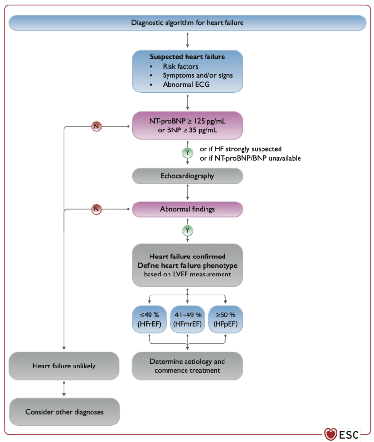 Kronisk Hjärtsvikt- Definitioner, utredning och behandling - Kardiologi.se
