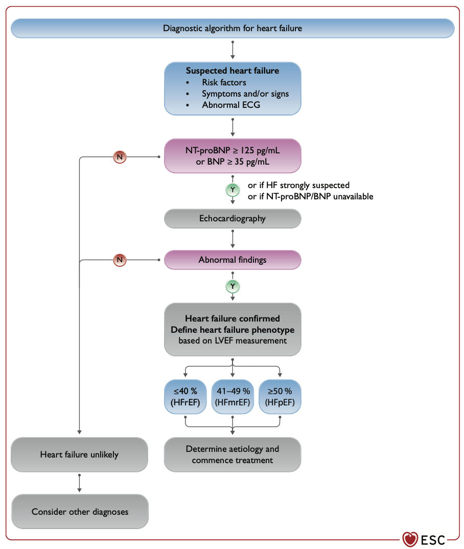 Kronisk Hjärtsvikt- Definitioner, utredning och behandling - Kardiologi.se