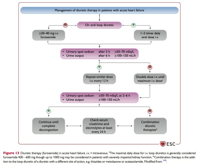 Diuretika - Kardiologi.se